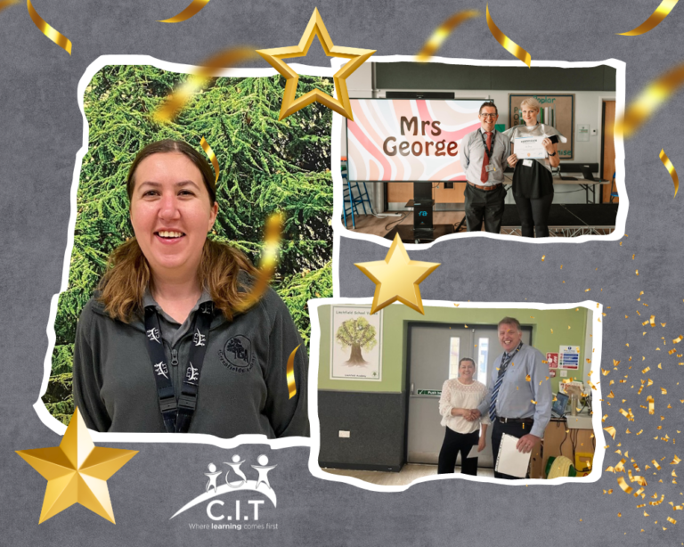 Trust Values Awards - CIT Academies